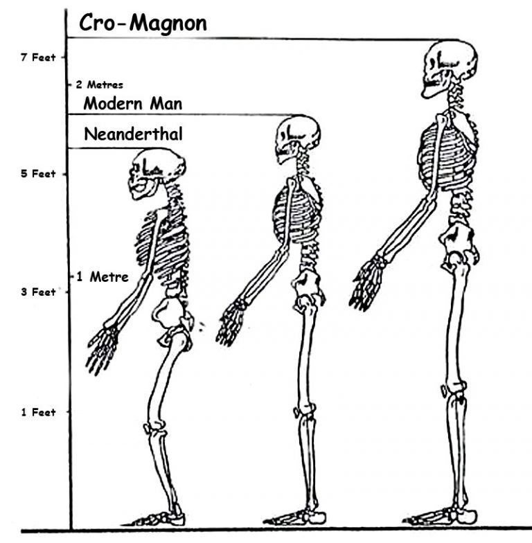 The Rise of the Cro-Magnon (Homo Superior) - Prehistoric Britain