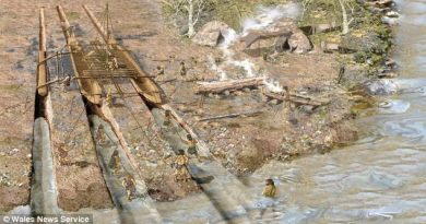 Stonehenge Stone Transportation - Prehistoric Britain