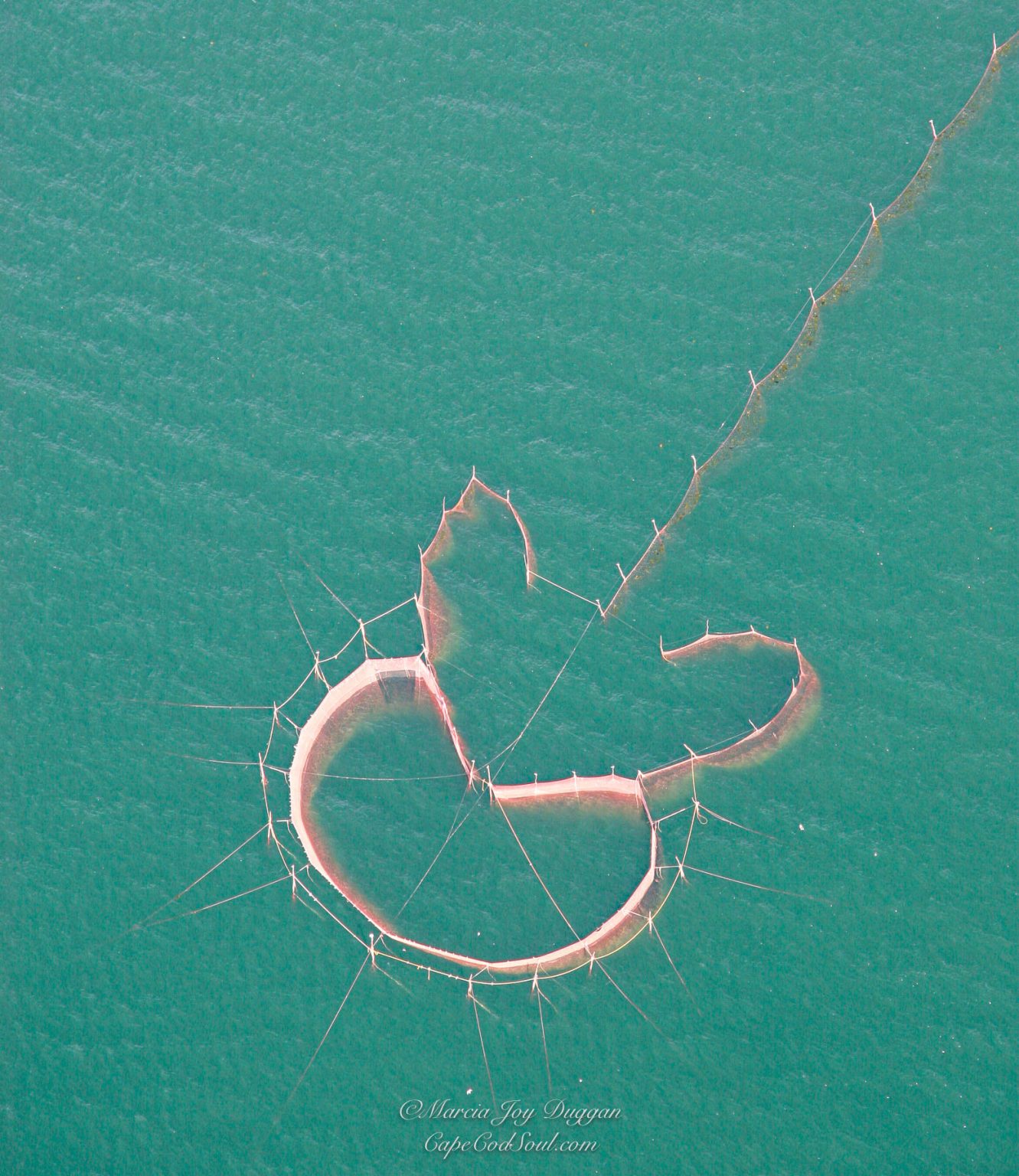 Durrington Walls Revisited: Platforms, Fish Traps, and a Managed ...