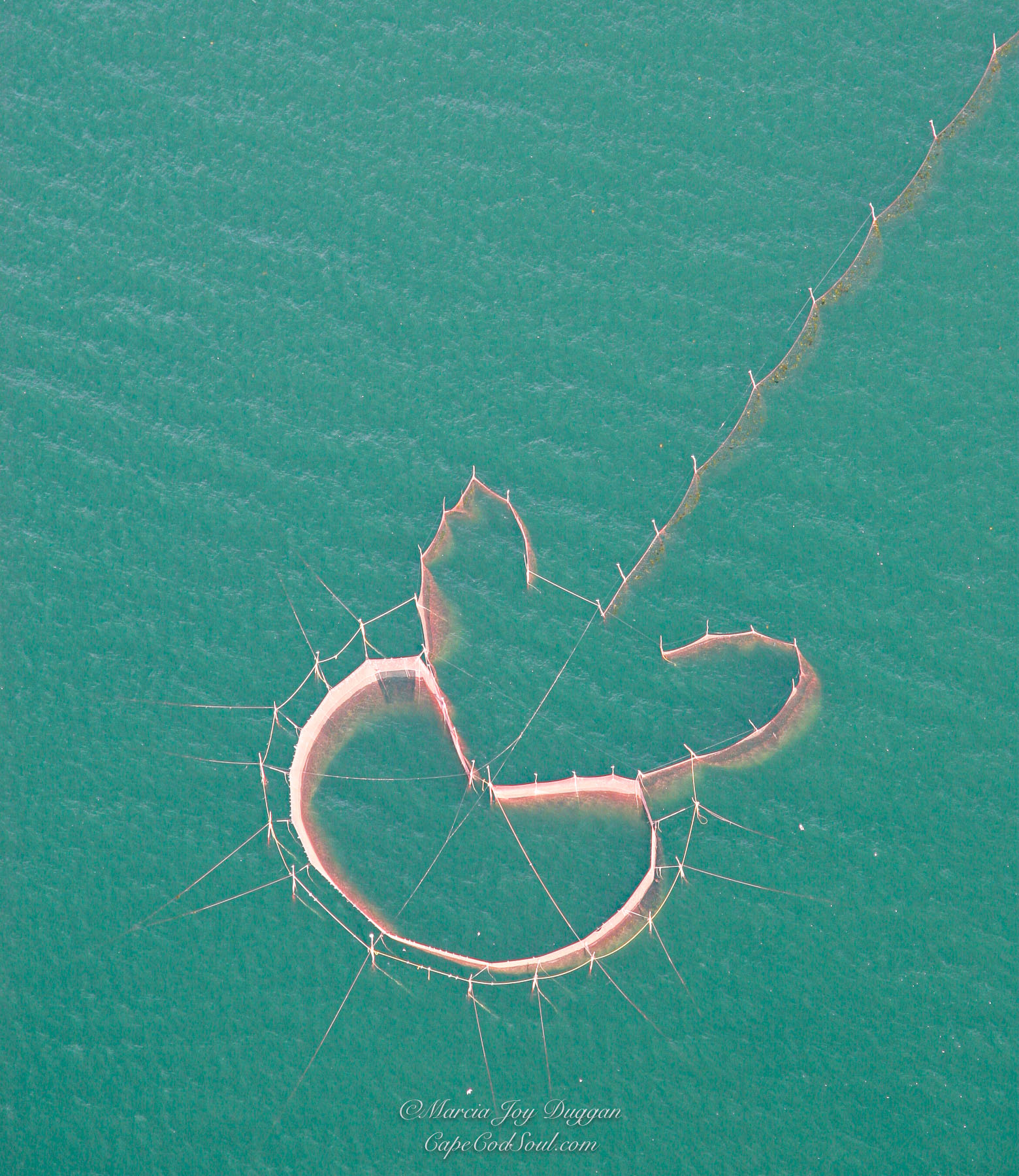 Durrington Walls Revisited: Platforms, Fish Traps, and a Managed ...