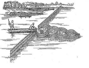 Durrington Walls Revisited: Platforms, Fish Traps, and a Managed ...